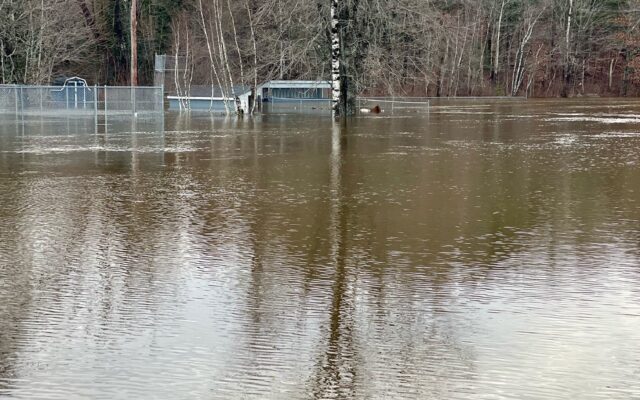 What we know about the wind storm that hit Maine - Piscataquis Observer
